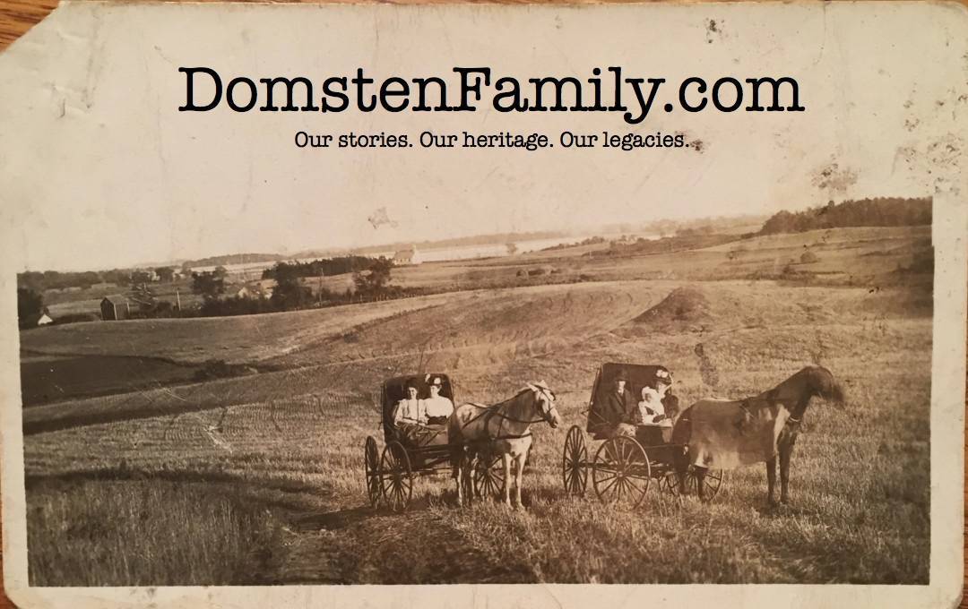 Our Family Stories | Tales of the Domsten, Erickson, Enget, Carlson ...